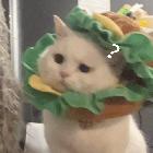 ququ、-搜索-专找直播-虎牙直播