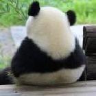 WwxX_WwxX视频_WwxX直播视频_WwxX精彩视频大全_虎牙