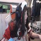 ququ、-搜索-专找直播-虎牙直播