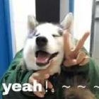 nzzz～_nzzz～视频_nzzz～直播视频_nzzz～精彩视频大全_虎牙