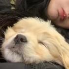 dy-搜索-专找直播-虎牙直播