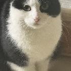 jhghj-搜索-专找直播-虎牙直播